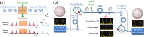 A Operation Principle Of Polarization Based Temporal Cloaking B
