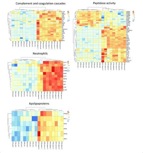 Heatmap Based On Lfq Intensity Values Of Selected Proteins
