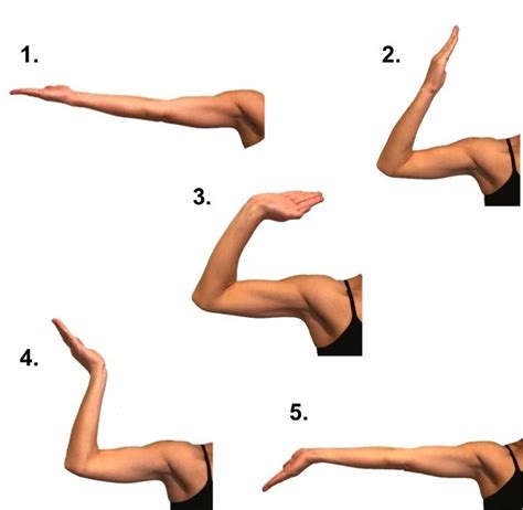 Image Result For Nerve Gliding Exercises Cubital Tunnel Syndrome