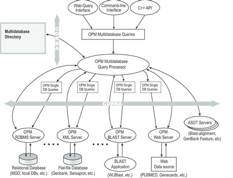 The Opm Multidatabase System Architecture Underlying Tinet Download Scientific Diagram