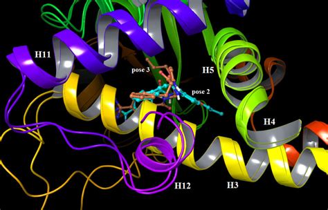 Figure S Binding Poses And Of Ligand I Based On The Averaged Download Scientific Diagram
