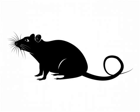 Rat 2 Svg Rat Svg Rodent Svg Rat Cut Files Rat Clipart Etsy