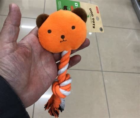 100均の犬用おもちゃ？