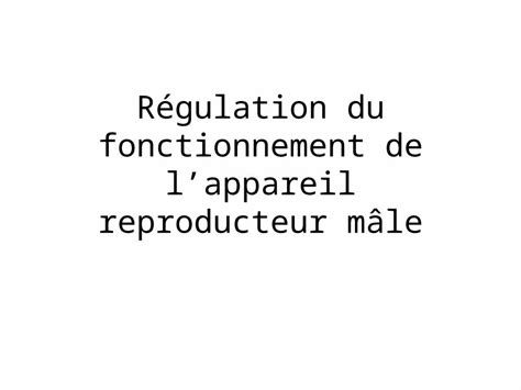 Ppt Régulation Du Fonctionnement De Lappareil Reproducteur Mâle