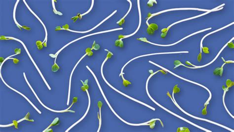 A Taxonomy Of Sustainable Business Model Patterns