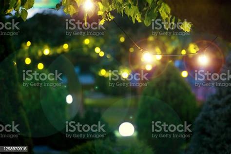 조명 휴일 조명은 투자 덤불과 나무 아무도야외 조경 공원의 둥근 보케 저녁 조명 밤 장면과 따뜻한 빛 빛의 전기 화환 전구와 정원에 눈부심 앞마당 또는 뒷마당에 대한 스톡