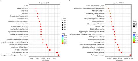 Molecular Characteristics Of Gastric Cancer With Erbb Amplification