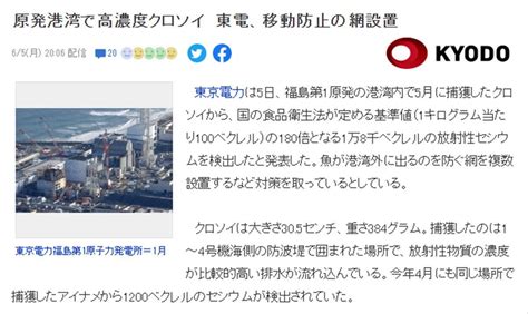 福岛第一核电站港湾内捕获的海鱼体内放射性元素超标180倍国际社会强烈反对核污水排海 凤凰网