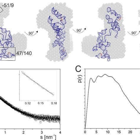 Spatial Structure Of The 5′ Terminal Region Of Mouse P53 Mrna A The Download Scientific