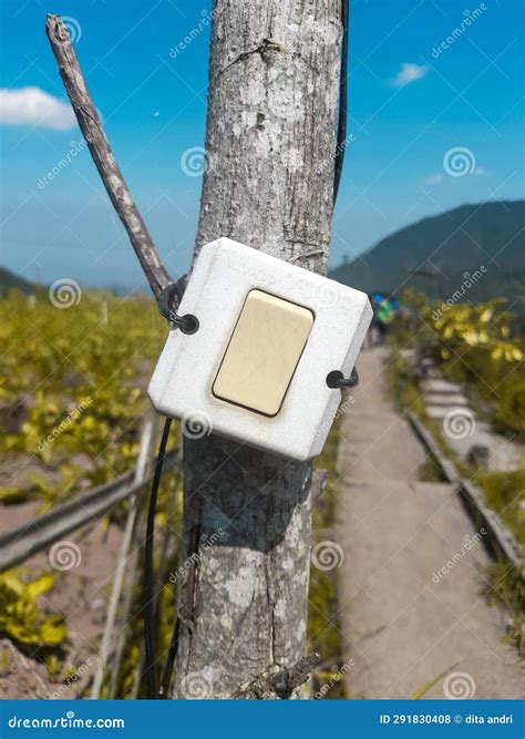 A Switch Tied To A Dry Tree In The Hills Stock Photo Image Of Tied Switch