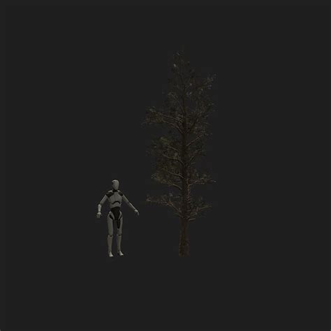 pine 07 gamedev 3dmodeling unity unityassetstore unityasset