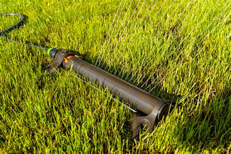 집 뒤뜰에 있는 잔디밭에 물을 주는 잔디 스윙 스프링클러 관개 장비에 대한 스톡 사진 및 기타 이미지 관개 장비 낮 녹색 Istock