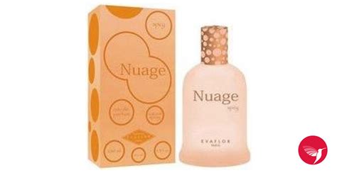 Nuage Spicy Evaflor perfume - a fragrance for women