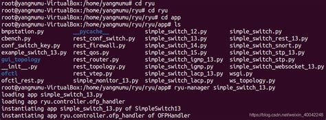 Open Vswitch 流表控制主机数据转发实验（二）ryu匹配任意tcp目的端口号 Csdn博客
