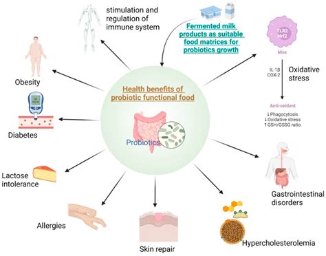 Die Verwendung Von Getrocknetem Bacillus Coagulans Fermentationsprodukt In Hundefutter
