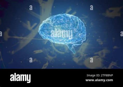 Animation Of Brain Rotating Over Blue Background Human Biology Anatomy Science And Technology
