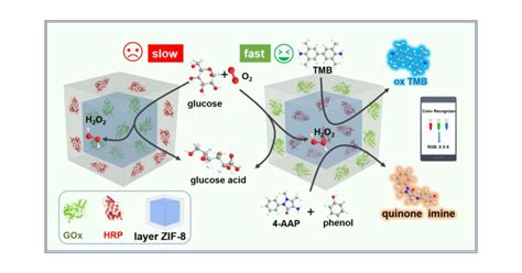 Fabrication Of Compartmentalized Multienzyme Reactor For Colorimetric