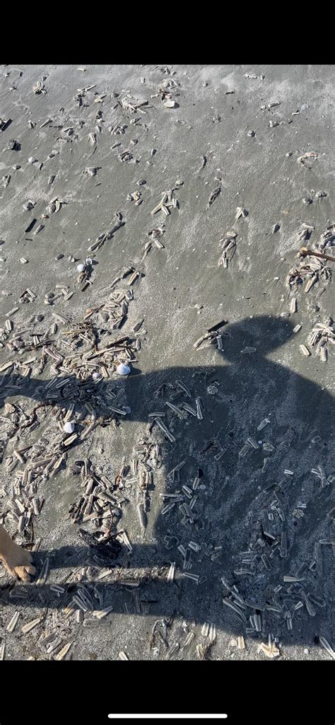 Question For Oceanographers Roceanography