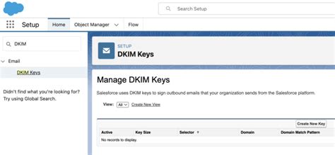 How To Setup Dkim In Salesforce Salesforce Time
