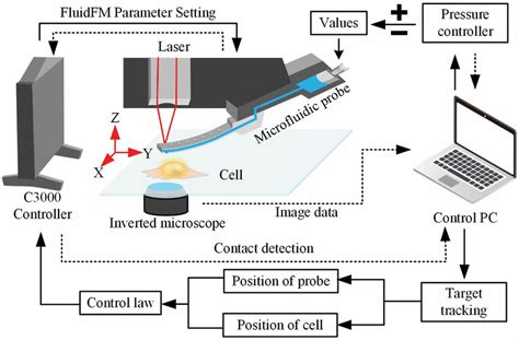 The Flowchart Of Visual Servo Based Alignment For Cell Manipulating Download Scientific Diagram