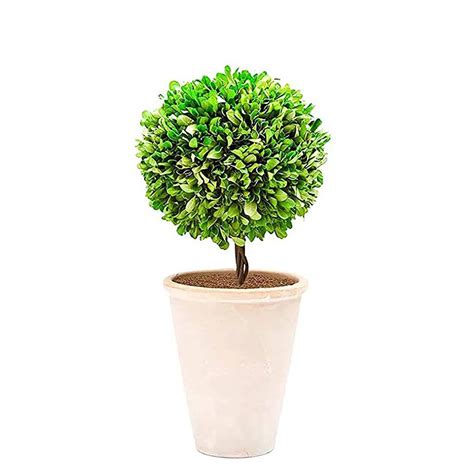 잡초 매트 코코넛 식물 공예 나무 보호 링 세트 커버 멀칭 디스크 12 개 티몬