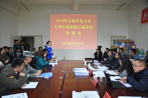 学校2015年大学生创业园入园项目评审会举行 云南农业大学 新闻网