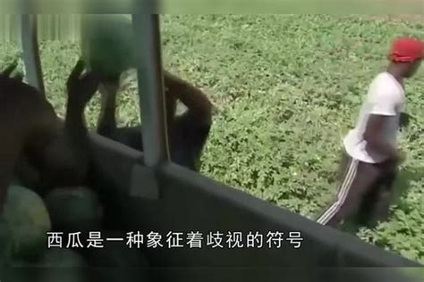 为什么在美国，不能随便请黑人吃西瓜？答案令人意想不到黑人答案美国