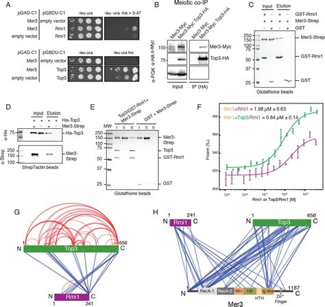 Mo Affinity Analysis Software Nanotemper Technologies Bioz