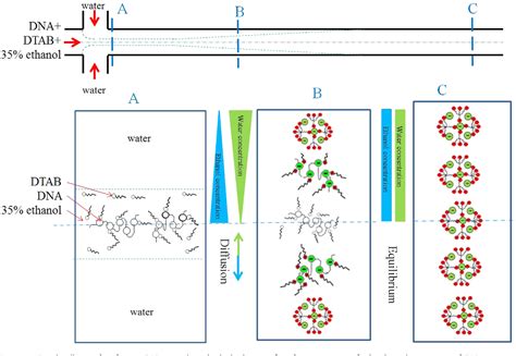 Figure 3 From On Chip Controlled Surfactant Dna Coil Globule Transition