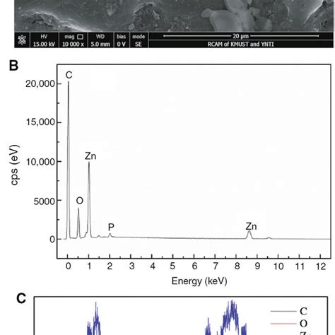 Sem Eds Pattern Of The Spent Catalyst Download Scientific Diagram