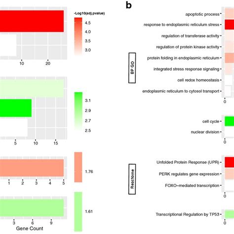 Functional Enrichment Analysis Of Degs In “overlap” Cell Line Summary