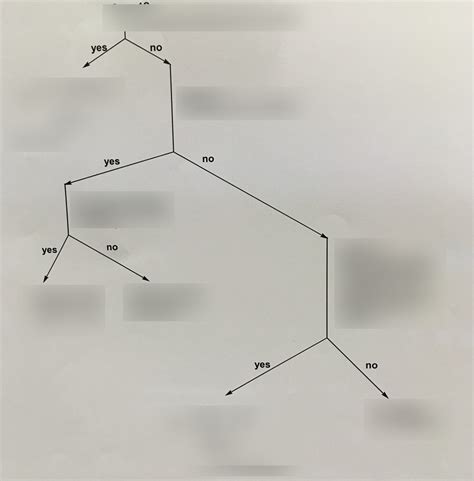 Decision Tree Diagram Quizlet