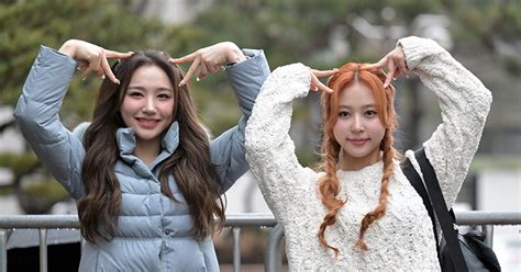 프림로즈 깜찍한 매력[포토엔hd]