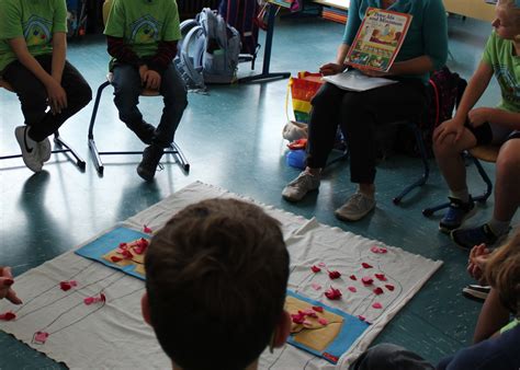 Sexualerziehung Schallenbergschule