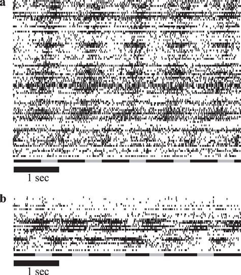 Raster Plot Of Walking With Gait Phase A Threshold Crossings As