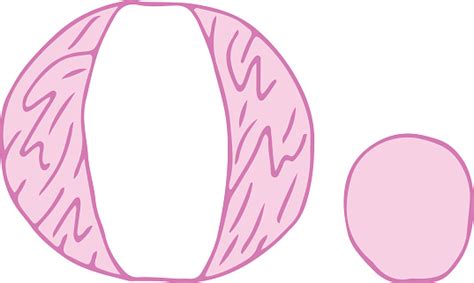 대문자 O와 소문자 O 연한 분홍색으로 채워진 곡선 보라색 선으로 손으로 그린 0명에 대한 스톡 벡터 아트 및 기타 이미지