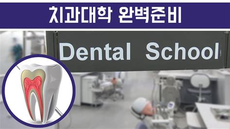 치과대학교 준비 설명 유망 전공 치대 YouTube