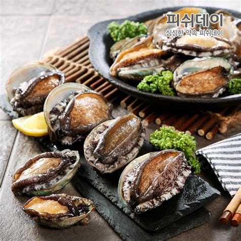 완도직송 활전복 1마리 40g내외 10마리 구매시 추가증정 티몬