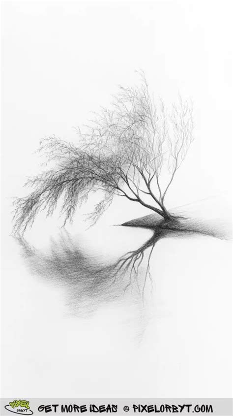 Tree Sketching Ideas Exploring Nature Pixel Orbyt