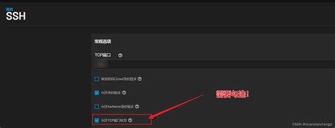 经验VScode 远程 SSH 连接 Ubuntu 或 TrueNas 出错Could not establish connection shandianchengzi 博客园