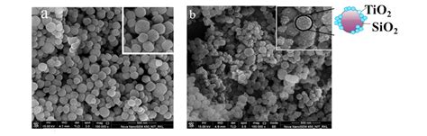 Coated Silica Particles Cd Bioparticles