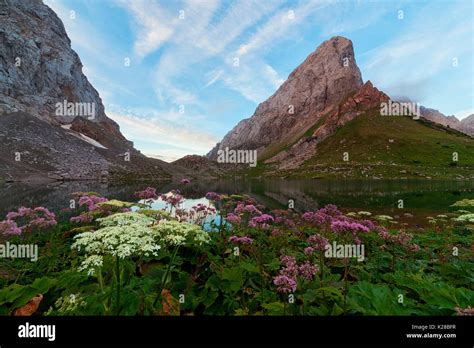 Forni Avoltri Hi Res Stock Photography And Images Alamy