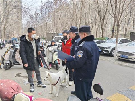 迎宾北路街道：遵守养犬规定 共创美好家园燕郊网城