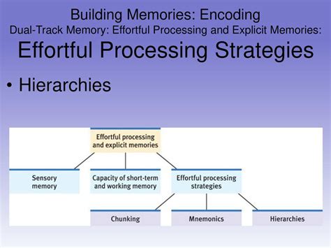 Myers Psychology For Ap® 2e Ppt Download
