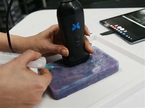 Nerve Block Training Phantom