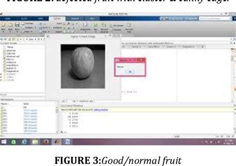 Figure 3 From The Fruit Quality Identification System In Image
