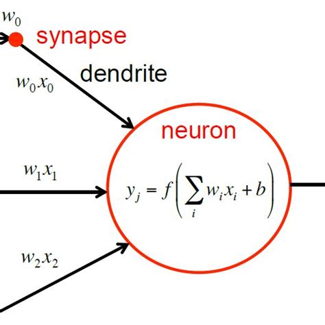 1 linear response model of the motor unit action potential train