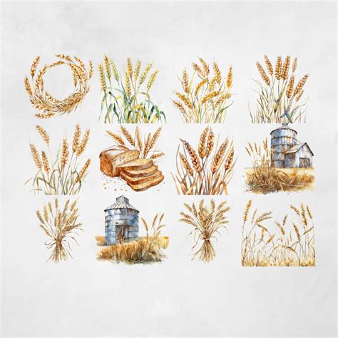Wheat Clipart Wheat Silhouette Wheat Crop Watercolor Clipart Wheat