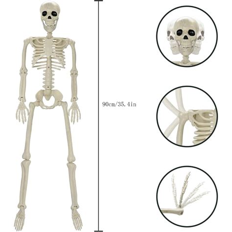 Hlandsky Pose N Stay Life Size Skeleton With Glowing Eyes 2024 Upgrade