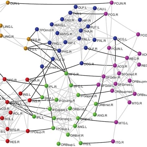 The Modular Architecture Of The Human Brain Functional Network We Download Scientific Diagram